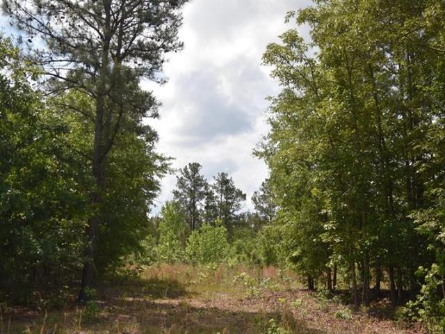 Hawthorne Dr, Kingstree, SC 29556
