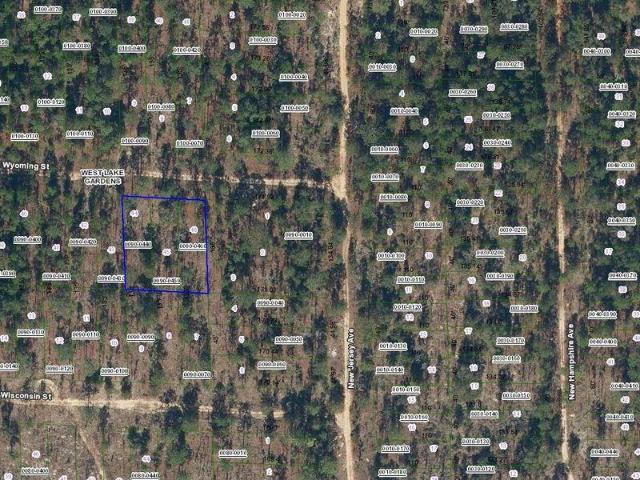 Hawthorne FL 32640 101012155