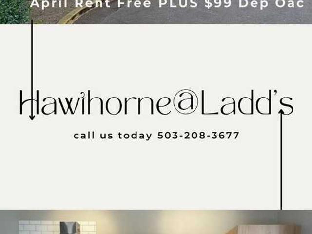 Hawthorne @ Ladd's 1 Bedroom Apartment for Rent at 1550 Se 20th Ave, Portland, OR 97214 Hosford Abernethy