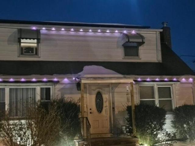 Hawthorne St, Roselle, Home For Sale