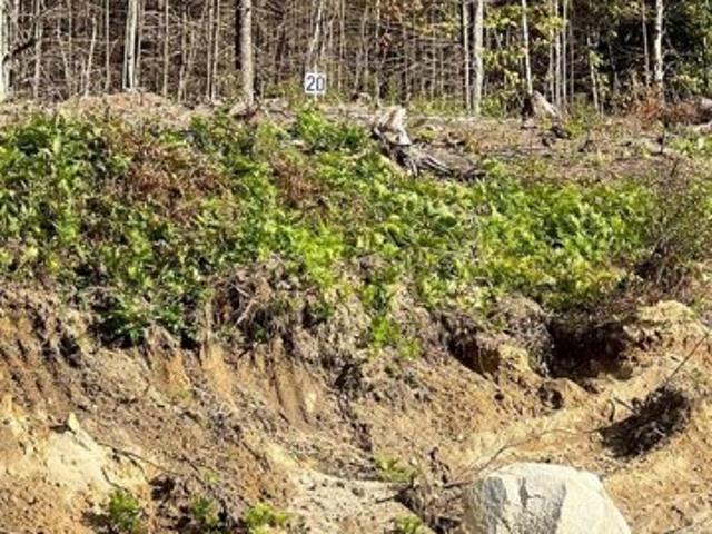 Hawthorne Rd, Ossipee, Plot For Sale