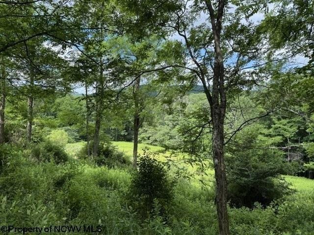 Hawthorne Valley Dr Lots 36,38,49, Slatyfork, WV