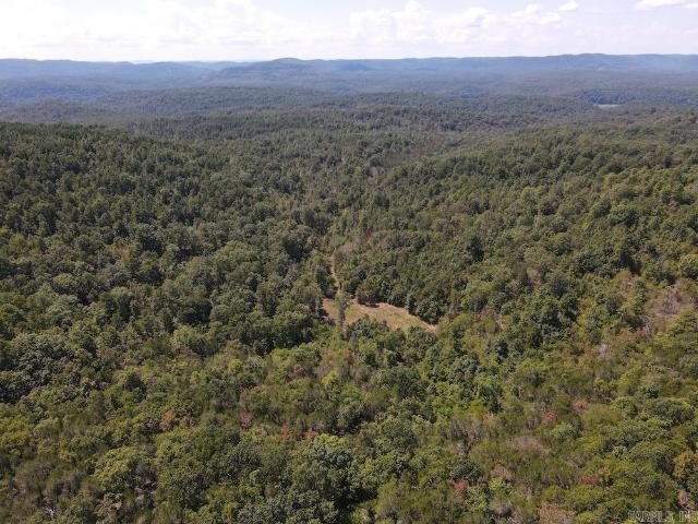 Haw Mountain Cemetery Road