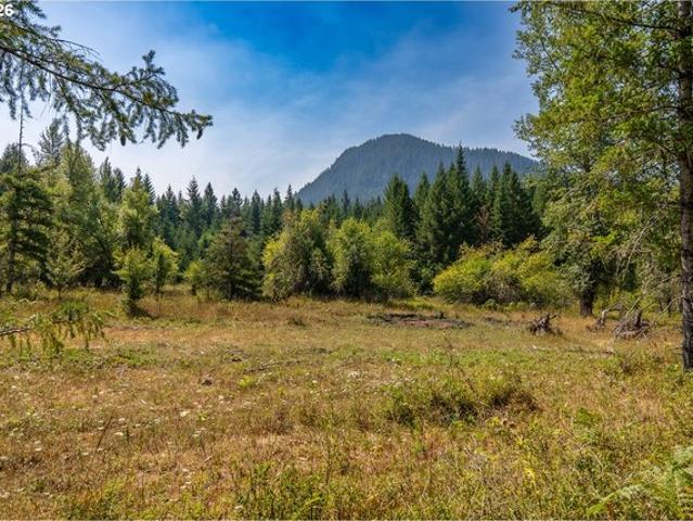 Hawk Meadows Rd Unit 5, Carson, WA 98610