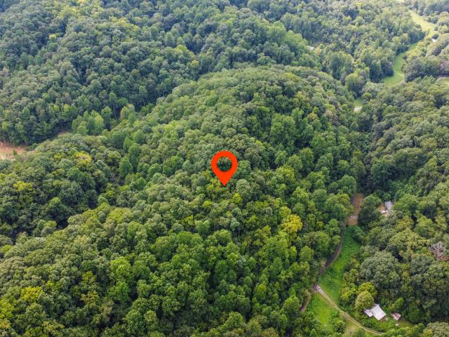 Hawk Lane, Seymour, TN 37865