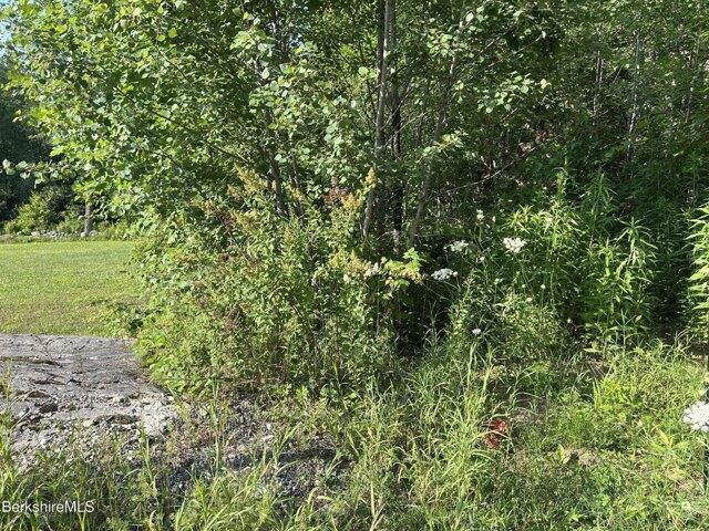 Hawk Rd, Hinsdale, Plot For Sale