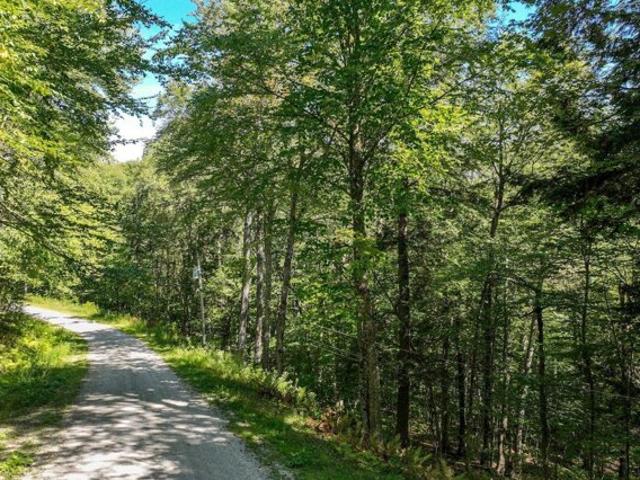 Hawk Spur Rd Lot, Plymouth, Plot For Sale