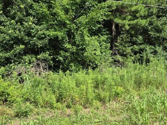 Hawkeye Dr Lot 273, Gilbertsville, KY 42044
