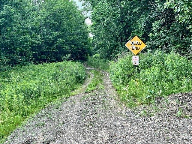 Hawkins Rd, Maryland, NY 12116