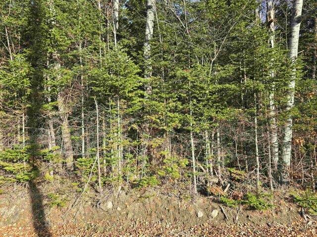 Hawkins Rd, Dummer, Plot For Sale
