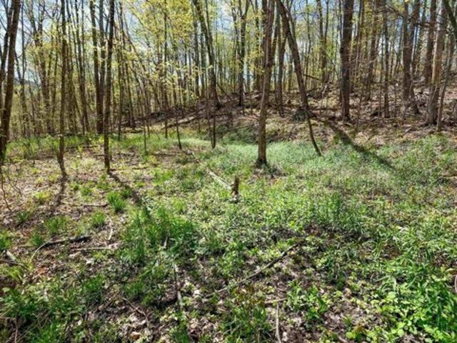 Hawkins Rd, Wallingford, Plot For Sale