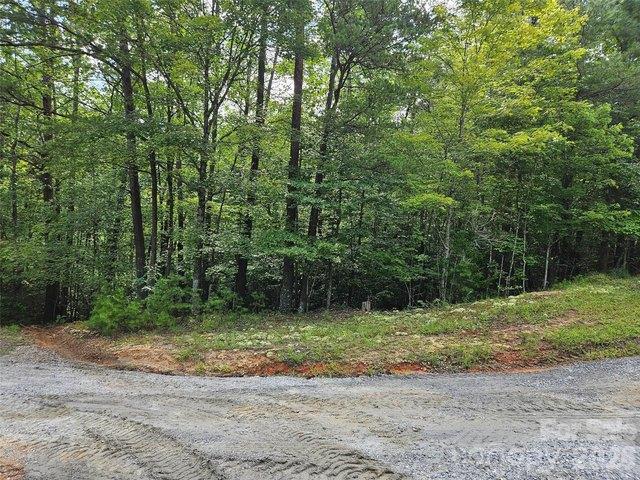Hawks Ter Unit 313, Lake Lure, NC 28746