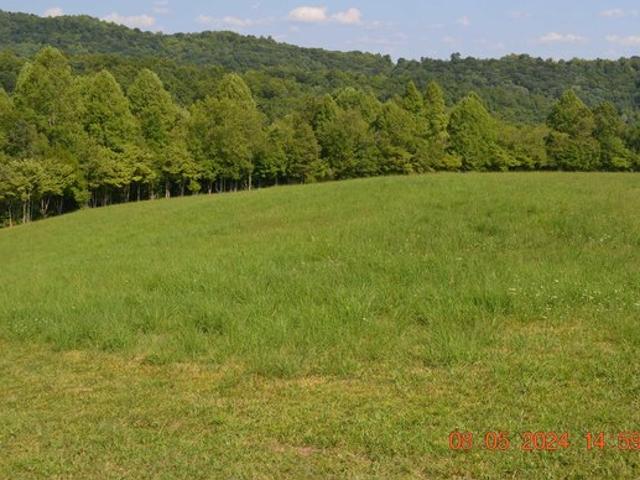 Hawks View Ln, Napier, WV 26631
