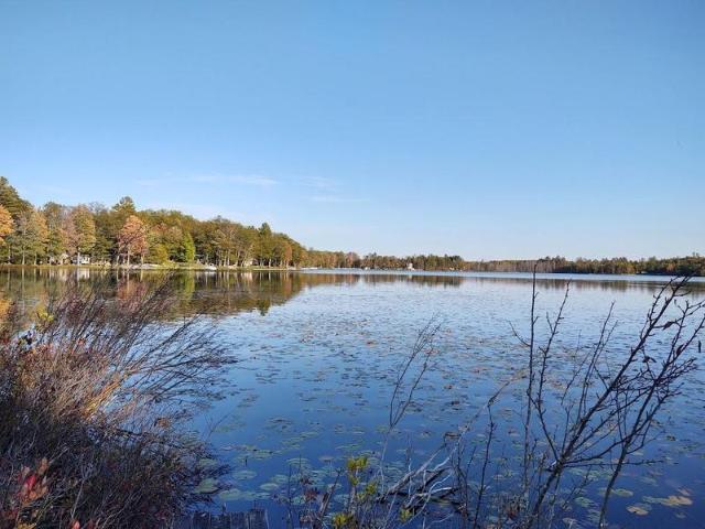 Hawks, A waterfront lot on a small, quiet inland lake in