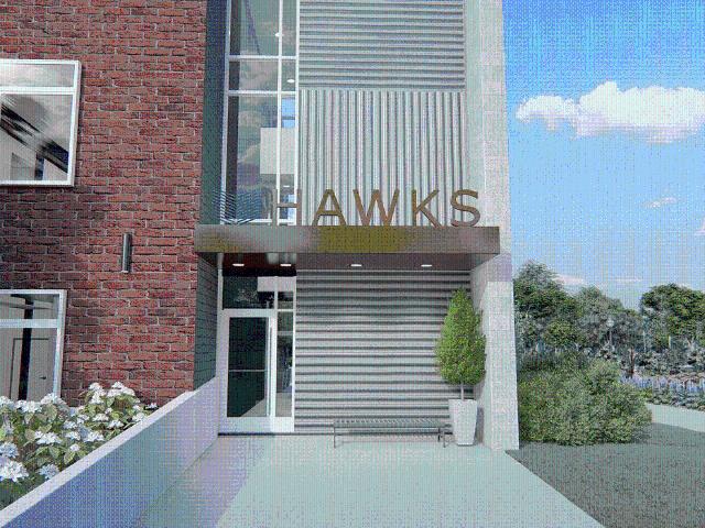 Hawks at River Art 101