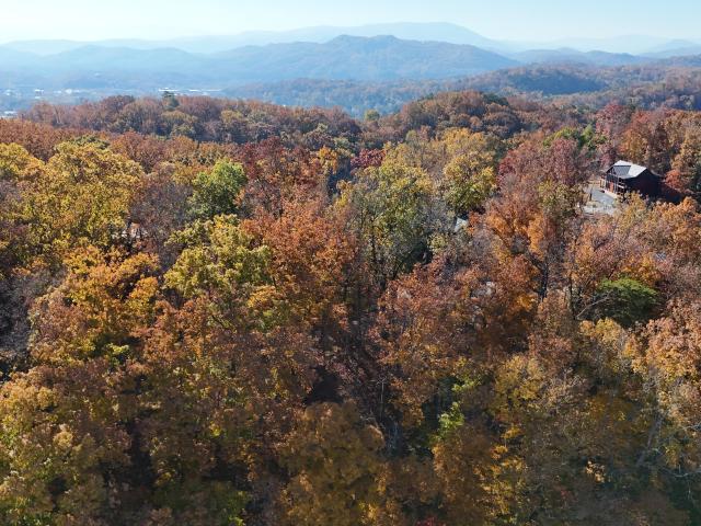 Hawks Nest Way, Sevierville, TN 37862