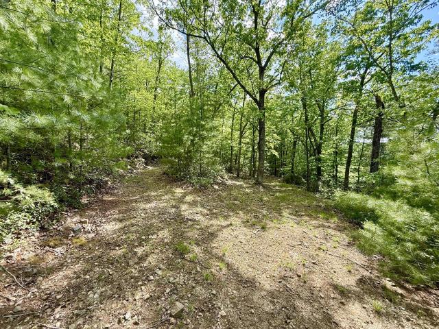 Hawks Ridge Road