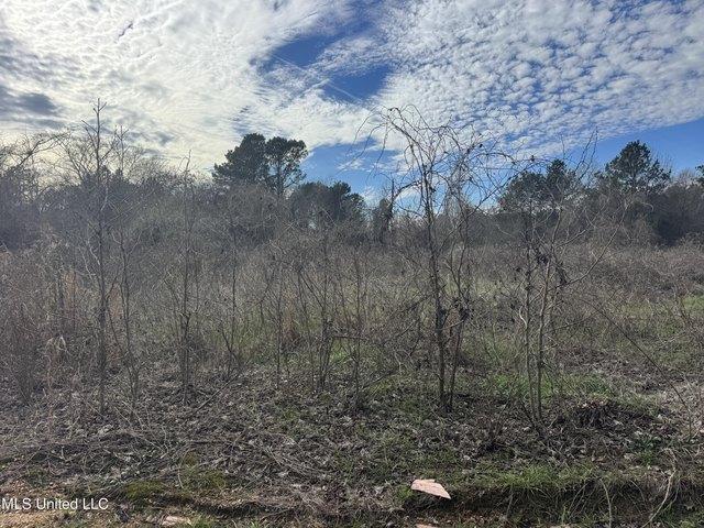 Hawpond Church Rd, Magee, MS 39111