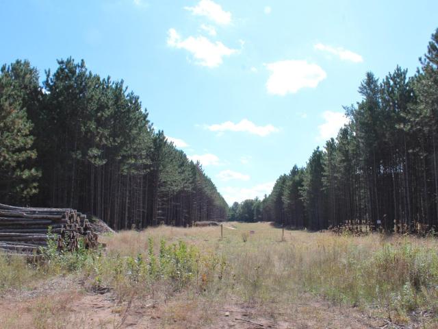 Hay Creek Blvd, Grantsburg, WI 54840 | MLS #6819