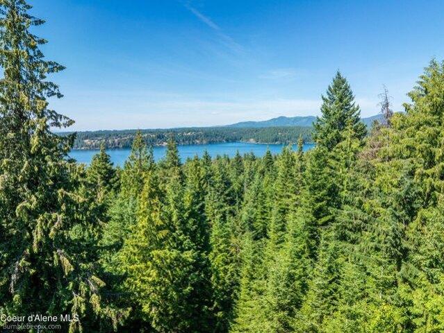 Hayden ID 83835 94938808