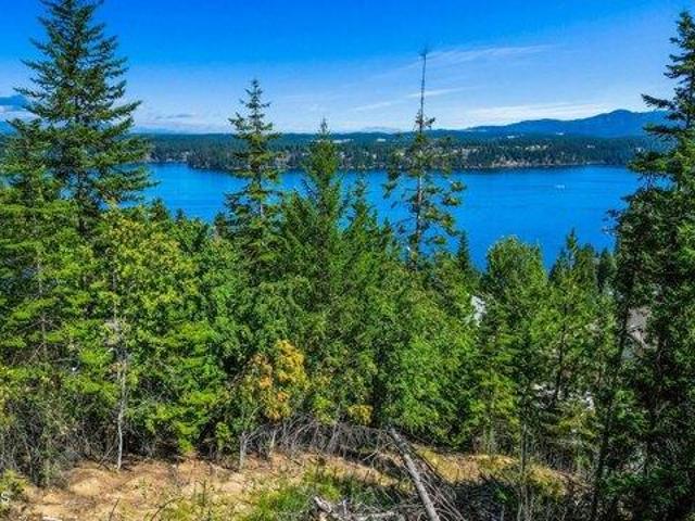 Hayden ID 83835 95556950