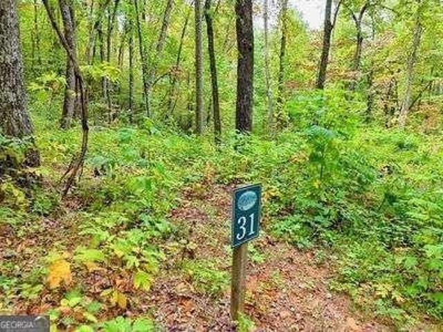 Hayesville NC 28904 103603498