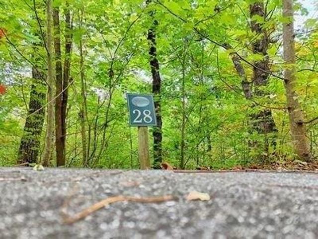 Hayesville NC 28904 103605418