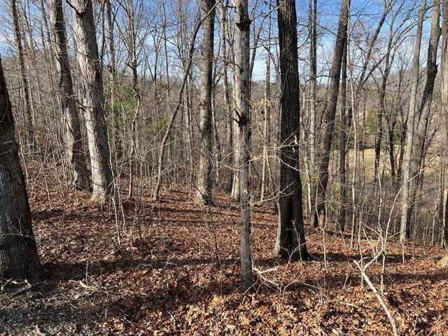 Hayesville NC 28904 104901871