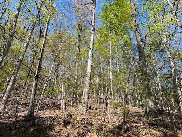 Hayesville NC 28904 104901976