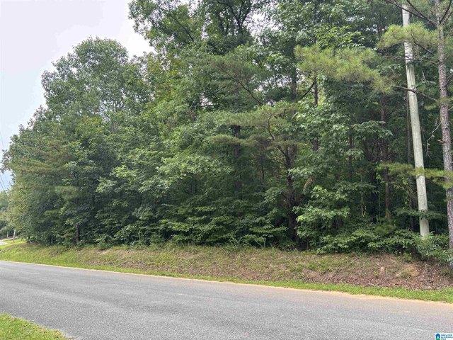 Hayfield Loop Lot 65, Dora, AL 35062