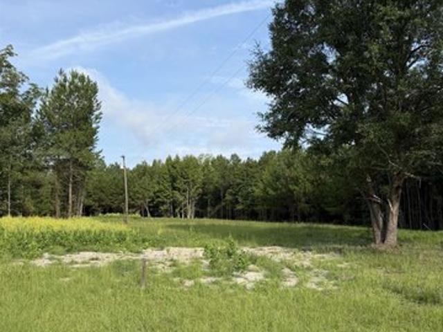 Hayfield Rd, Georgetown, SC 29440