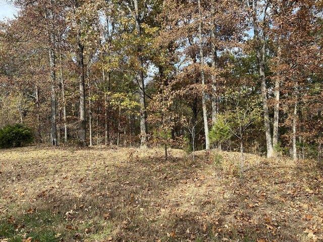 Haynes Cemetery Rd Lot 24, Murray, KY 42071