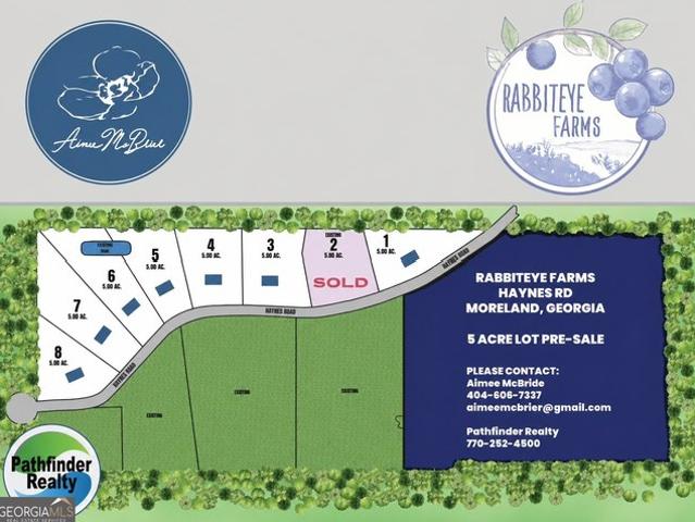 Haynes Rd Lot 4, Moreland, GA 30259
