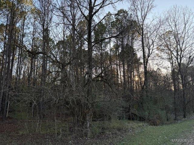Hayneville Ridge Rd, Mathews, AL 36052