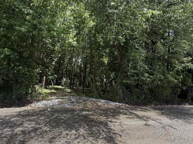 Hays Rd Lot 0, Moscow, TN 38057