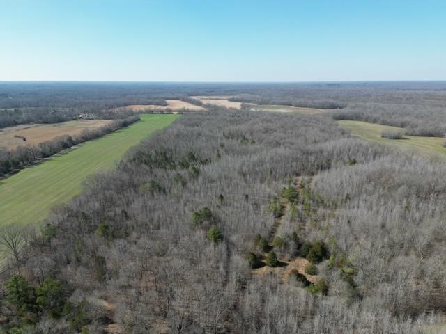 Hays rd