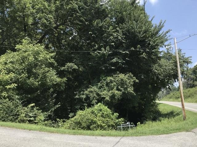 Hazel, Centerville, TN 37033