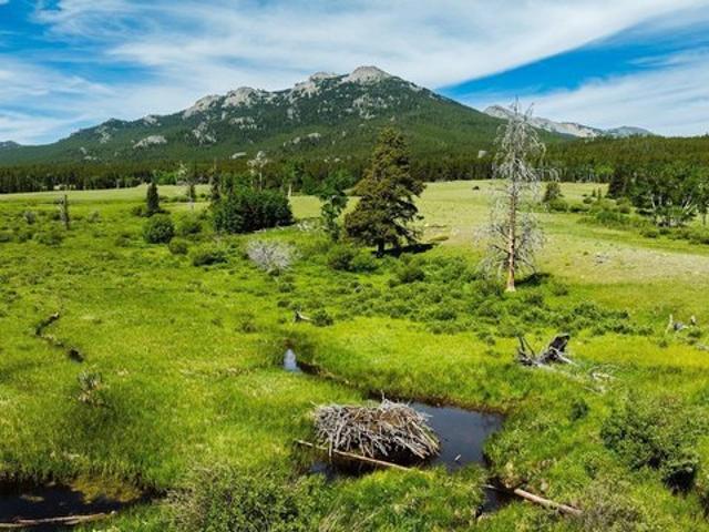 Hazelton Rd, Buffalo, WY 82834