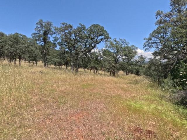Hazen, Manton, CA 95059