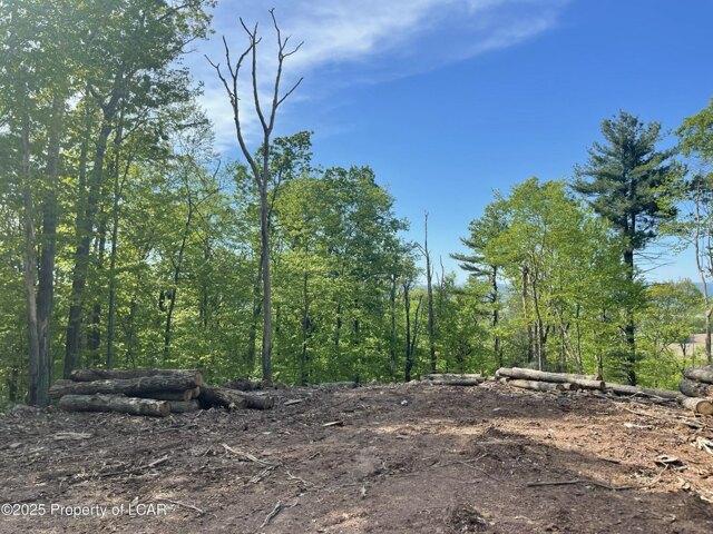 Hazleton berwick Hwy, Nescopeck, Plot For Sale