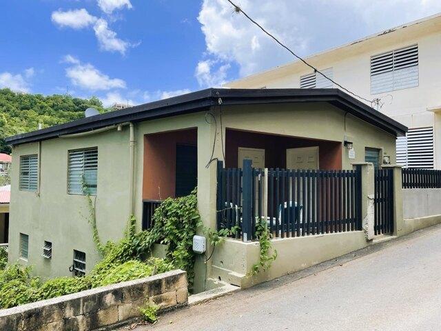 He Palm Straede, Saint Thomas, Home For Sale
