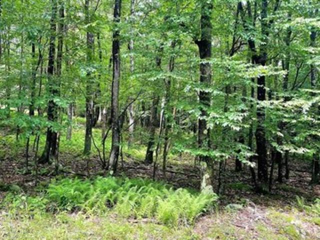Hemlock Cir Lot 120, Terra Alta, WV 26764