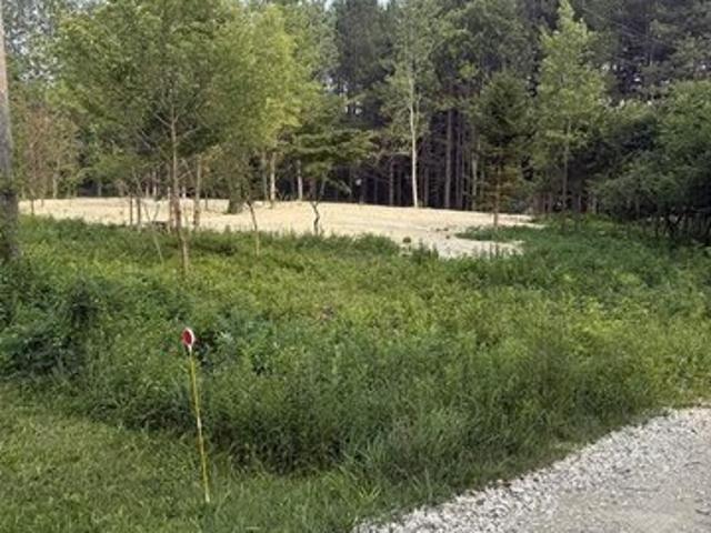 Hemlock Dr, Burtchville Township, MI 48059