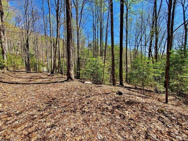 Hemlock Falls Dr Lot 9, Sylva, NC 28779