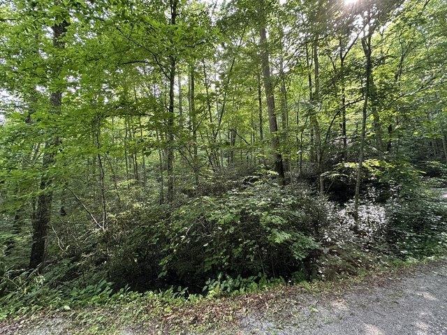 Hemlock Falls Rd Lot 10A, Franklin, NC 28734