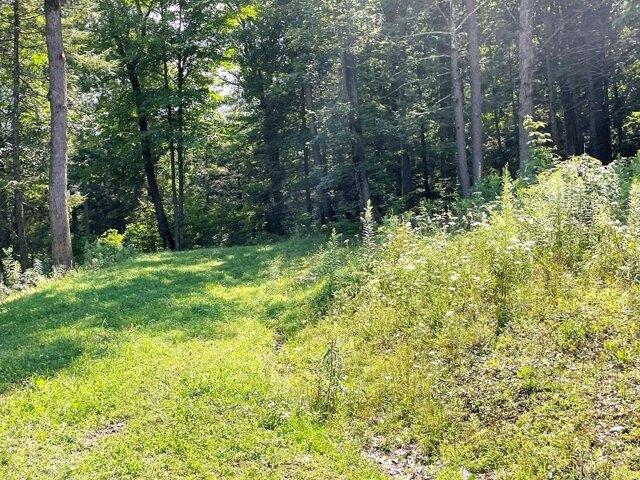 Hemlock Hills Rd Lot,towanda, Plot For Sale