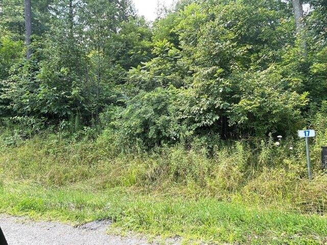 Hemlock Hills Rd Lot,towanda, Plot For Sale