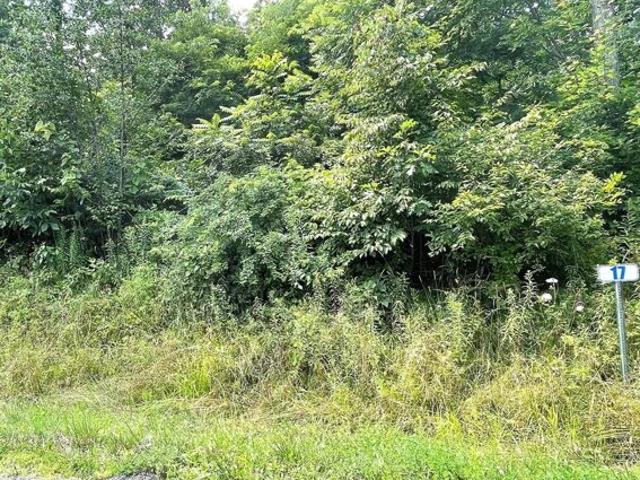 Hemlock Hills Rd Lot,towanda, Plot For Sale