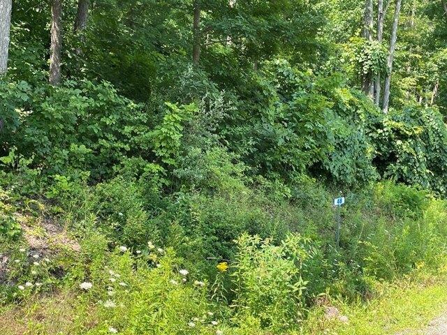Hemlock Hills Rd Lot,towanda, Plot For Sale