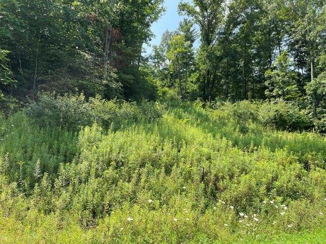 Hemlock Hills Rd Lot,towanda, Plot For Sale
